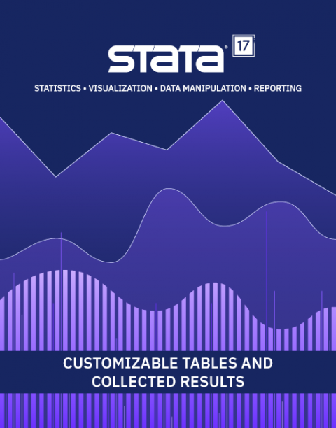 Dokumen Stata v17 – Cahaya Semesta Curahanhati